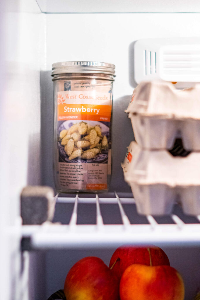 How To Cold Stratify Seeds For Better Germination | Boreal Bloom Homestead