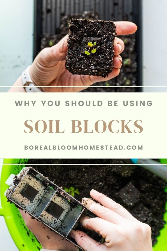 Soil Blocking 101: Grow Healthier Seedlings! | Boreal Bloom Homestead