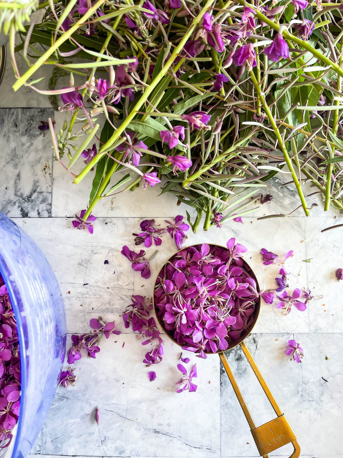 Easy Fireweed Jelly Recipe | Boreal Bloom Homestead
