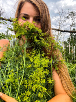 How To Harvest Dill Without Killing The Plant | Boreal Bloom Homestead