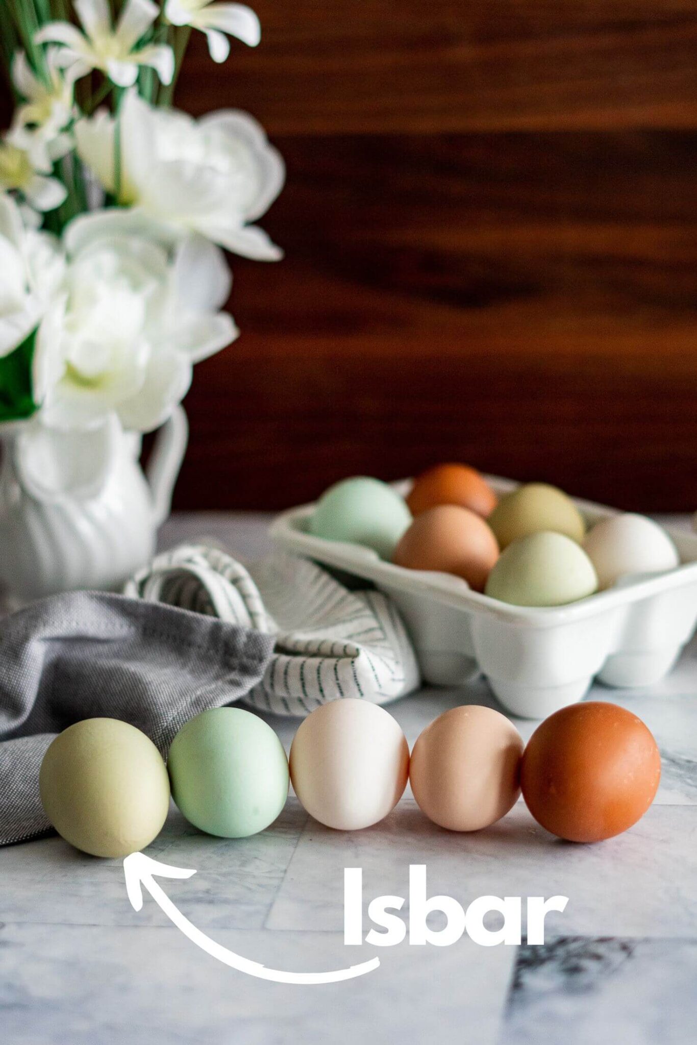 All About Isbar Chickens (Silverudd's Blue) | Boreal Bloom Homestead