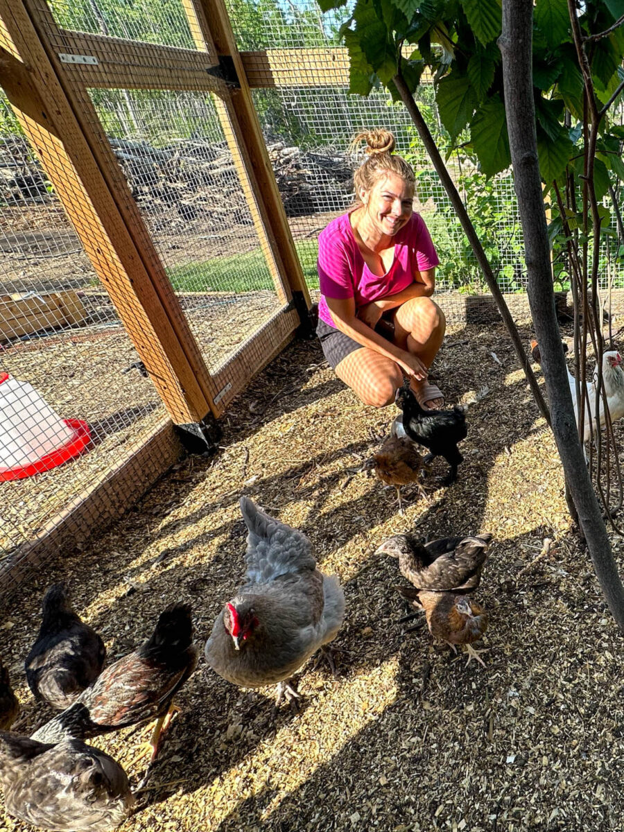 Chicken Math- How To Do Arithmechick + Fowlgebra | Boreal Bloom Homestead