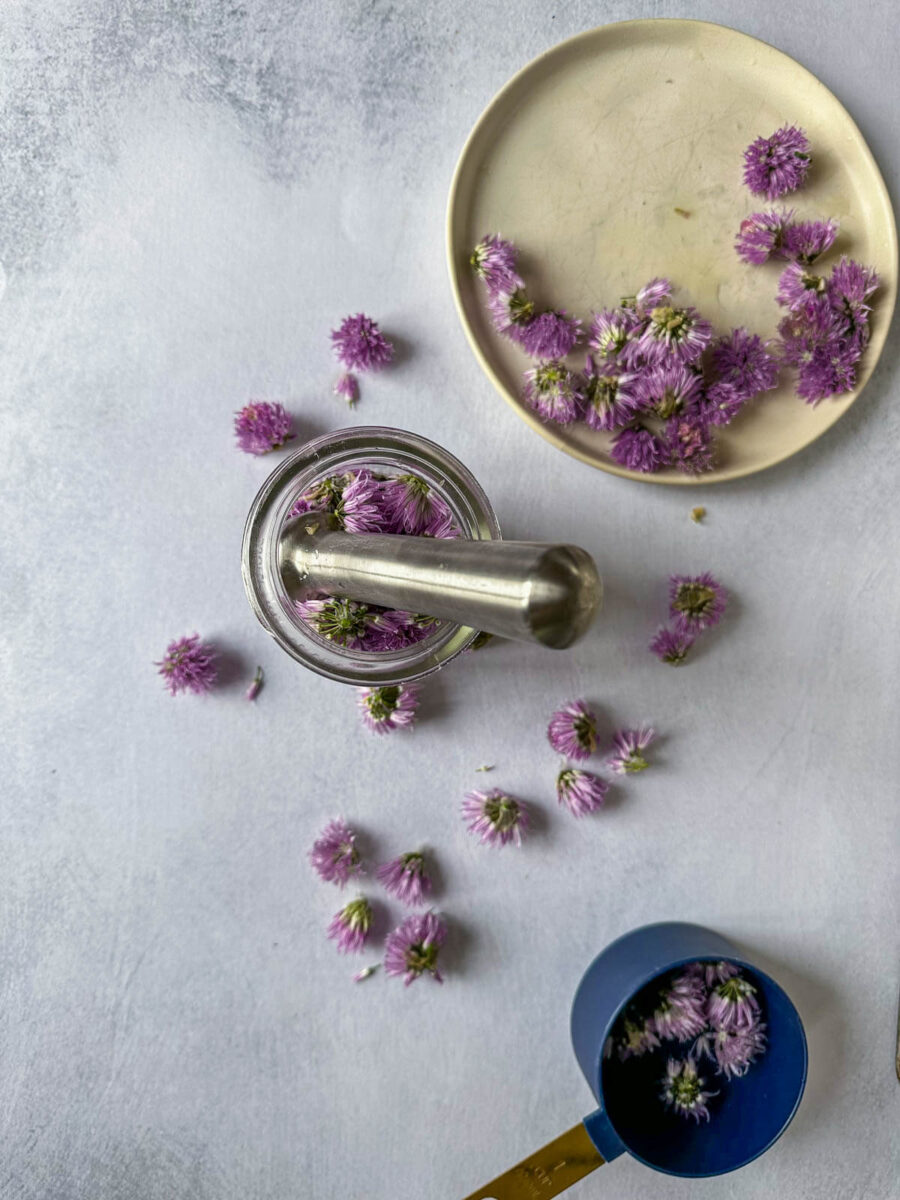 Chive Blossom Vinegar {Easy Recipe} | Boreal Bloom Homestead