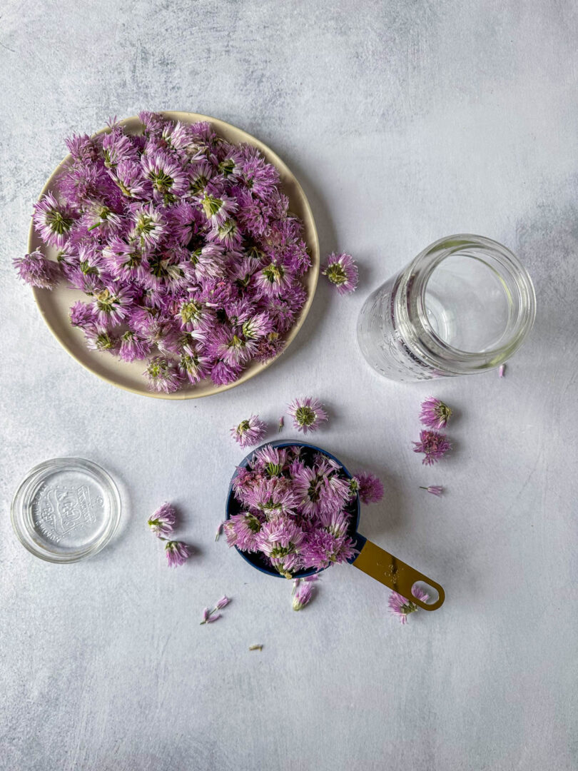 Chive Blossom Vinegar {Easy Recipe} | Boreal Bloom Homestead