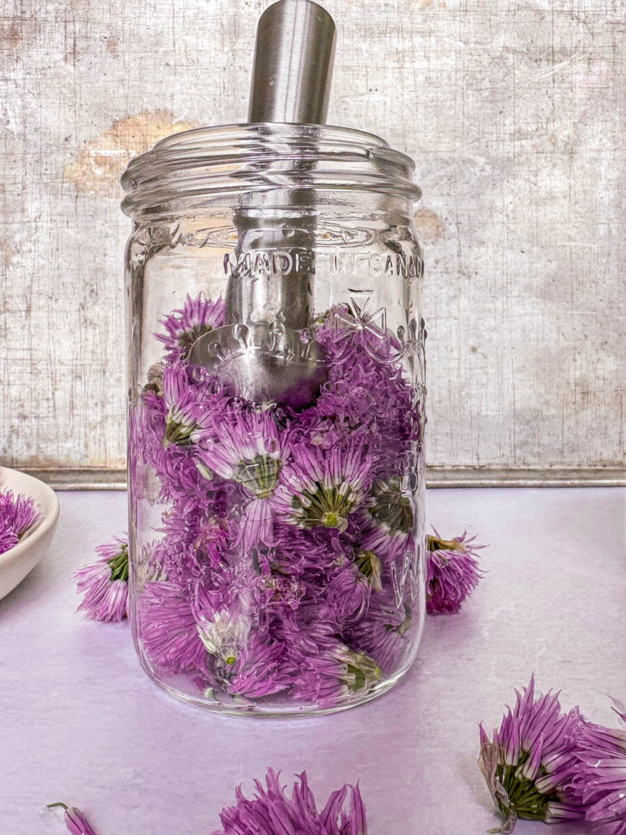 Chive Blossom Vinegar {Easy Recipe} | Boreal Bloom Homestead