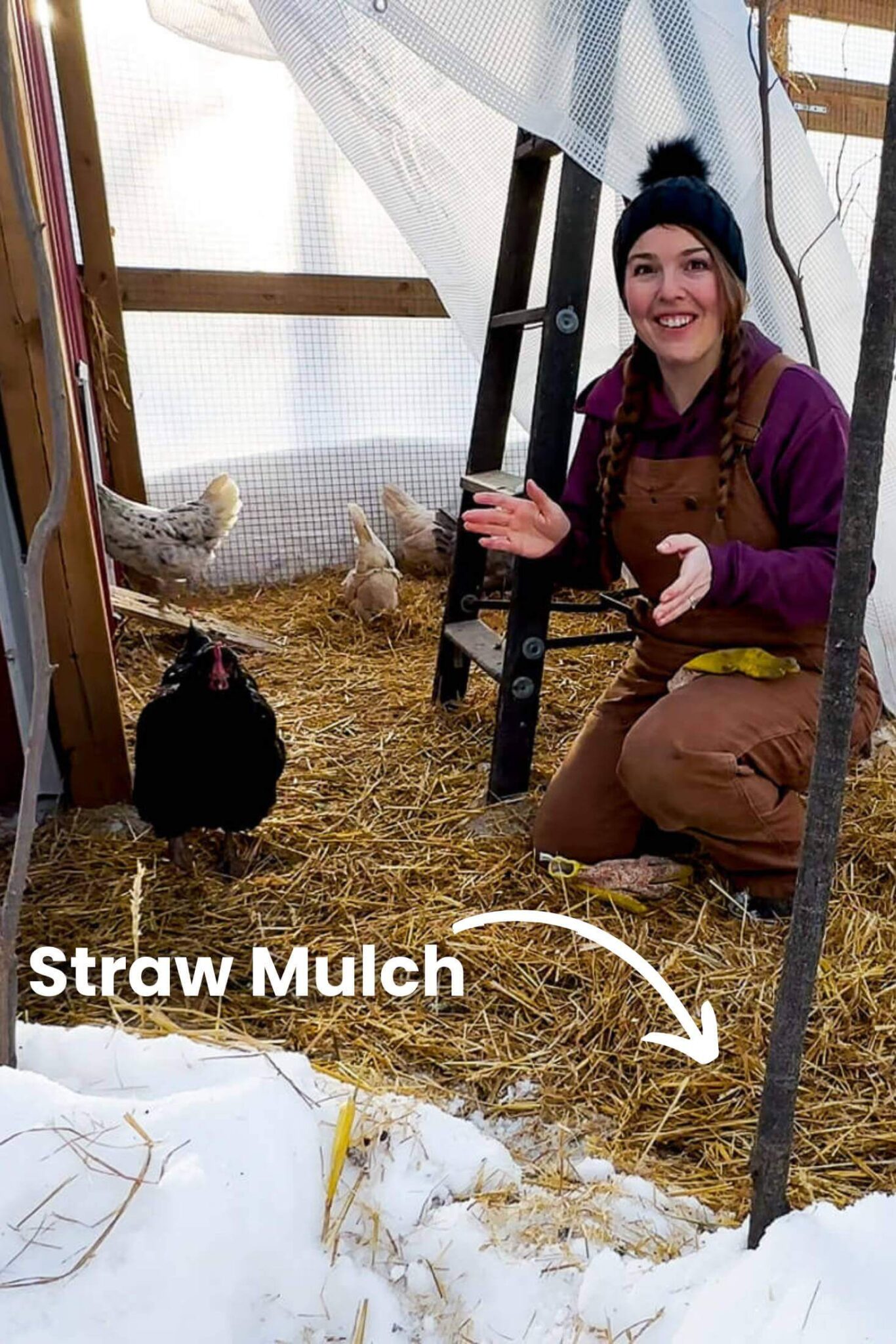 Winterizing Your Chicken Coop | Boreal Bloom Homestead