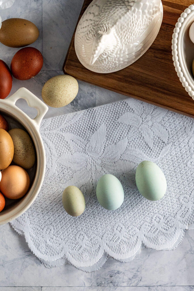 What Are Fairy Eggs + Why Do Hens Lay Them? | Boreal Bloom Homestead