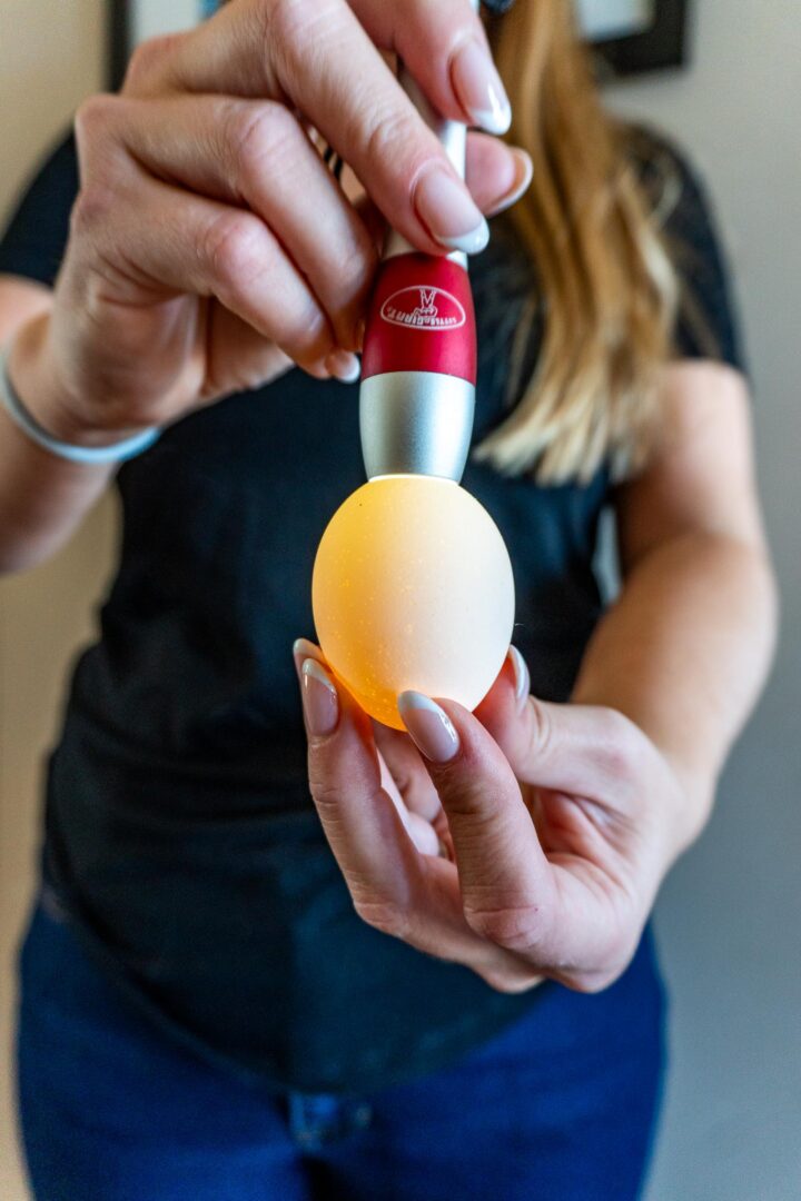 Candling Eggs For A Successful Hatch | Boreal Bloom Homestead