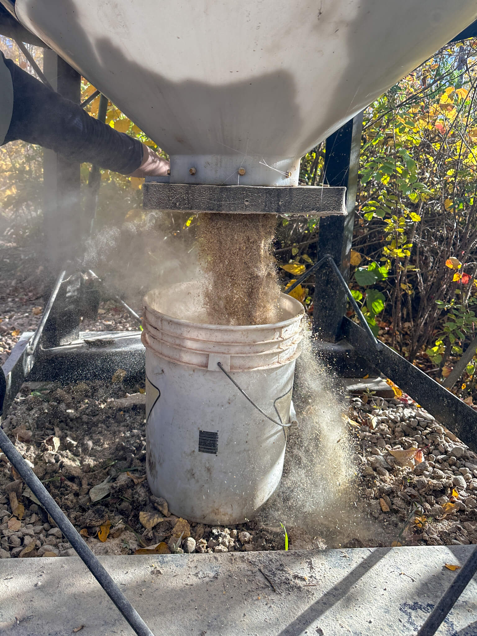 Fermenting Pig Feed | Boreal Bloom Homestead