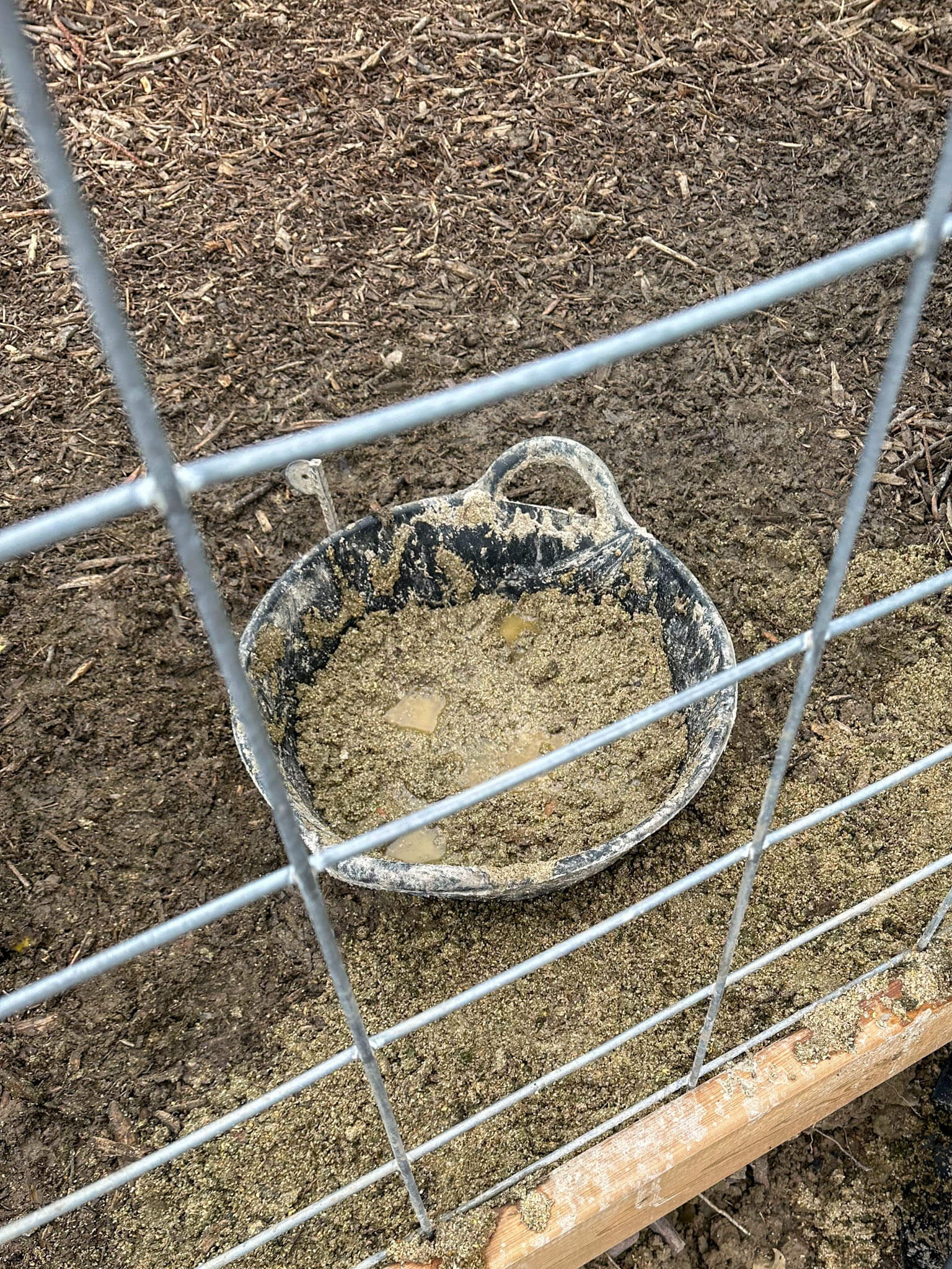 Fermenting Pig Feed | Boreal Bloom Homestead
