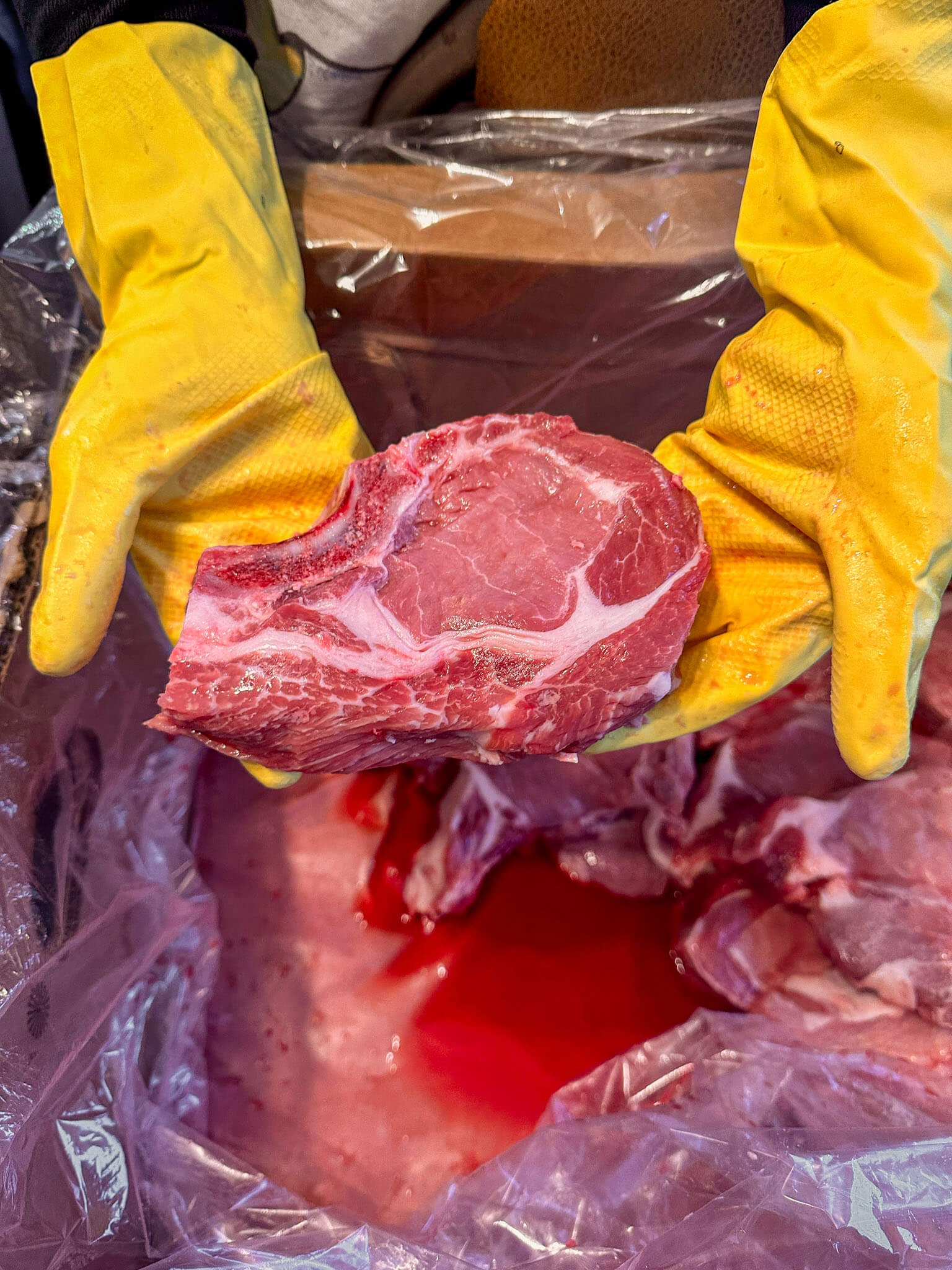 Raising Pigs For Meat | Boreal Bloom Homestead