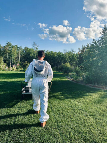 Harvesting Honey For Beginners {Step By Step Guide With Photos ...