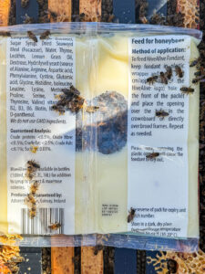 Feeding Bees In The Spring | Boreal Bloom Homestead